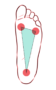 The Triangle of the Foot - The Ballet Source - The Ballet Source