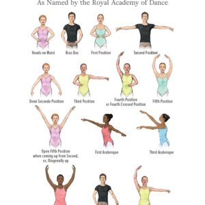 Classical Ballet 2 (Ages 9-13) - The Ballet Source - The Ballet Source